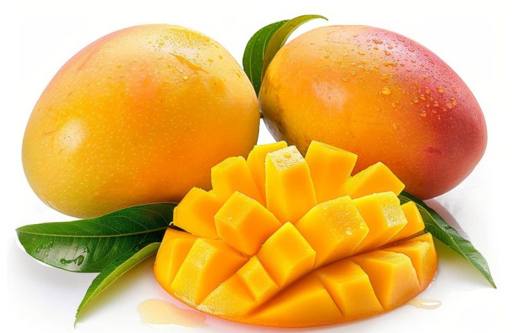 Mango Symposium to Be Held in Madhesh Province to Promote Region as ...