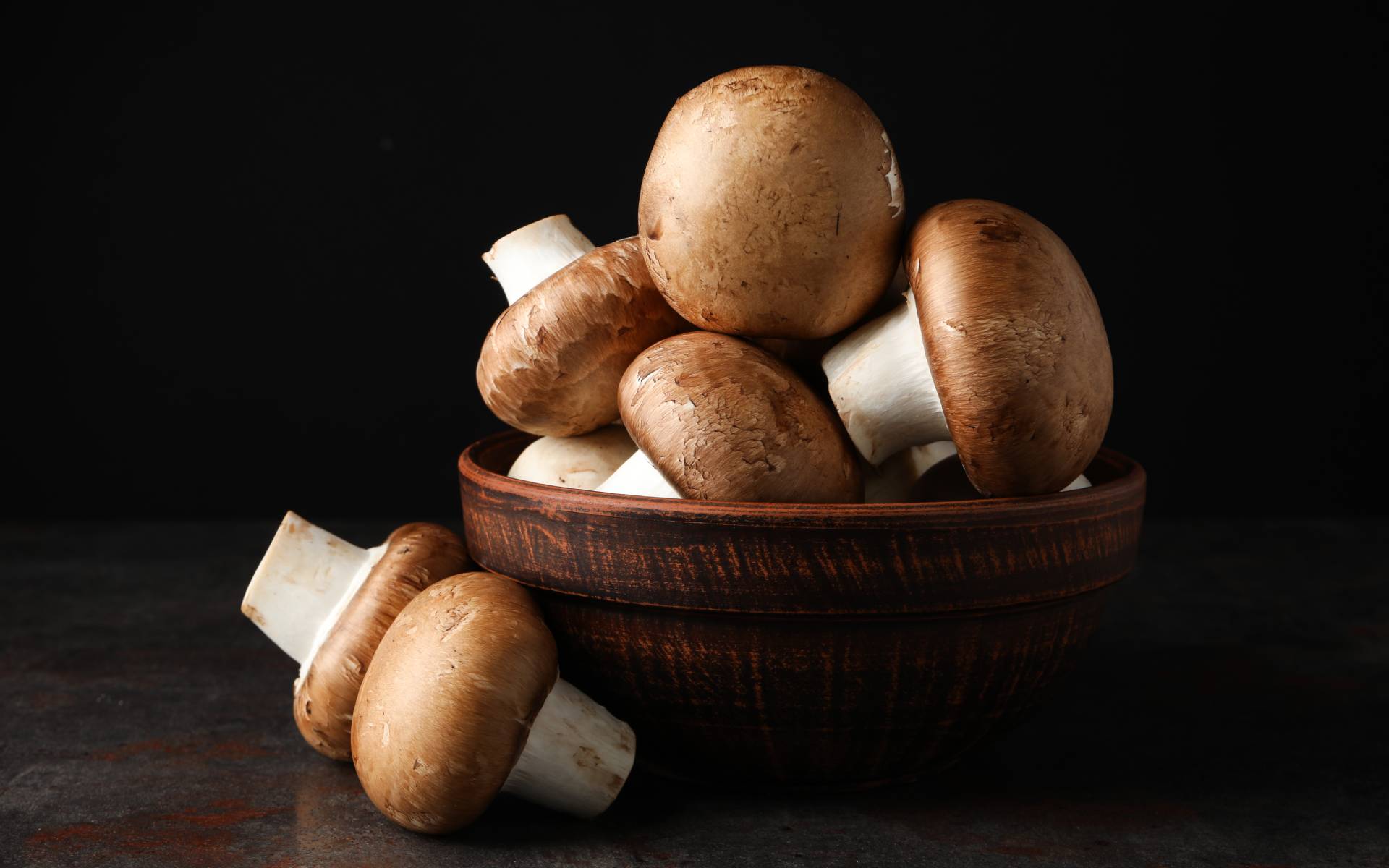 National Mushroom Day: Nepal Home to 1,150 Mushroom Species, Including ...