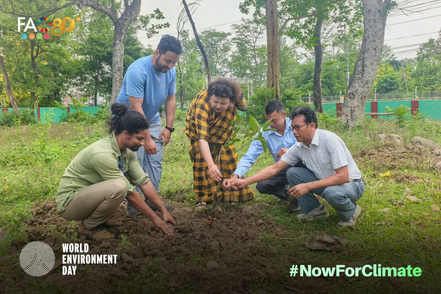 FAO Nepal Organizes Plantation Program at Forest Research and Training ...